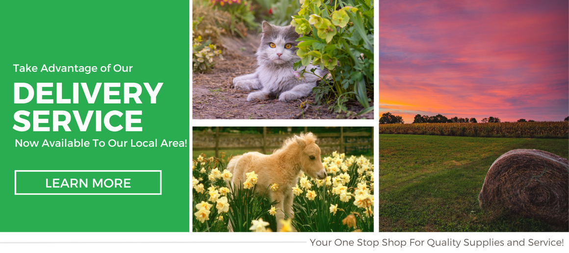Garden Center - Owego, NY | Owego Agway