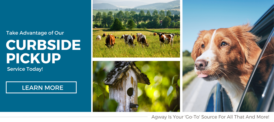 Garden Center - Owego, NY | Owego Agway