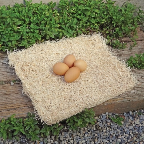 Petmate Precision Pet Excelsior Nesting Pads - Endicott, NY - Owego, NY ...