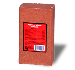 Roto Salt Red Trace Mineral Salt Brick - Endicott, NY - Owego, NY ...